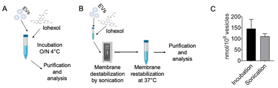 Increased Sensitivity of Computed Tomography Scan for Neoplastic ...