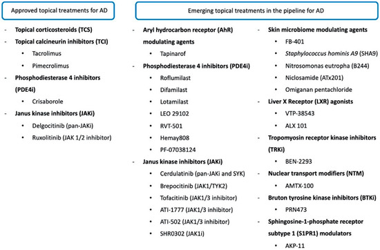 Novel Therapeutic Strategies in the Topical Treatment of Atopic Dermatitis