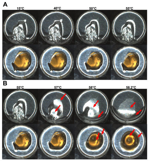 Pluronic® F127 Thermoresponsive Viscum album Hydrogel: Physicochemical ...
