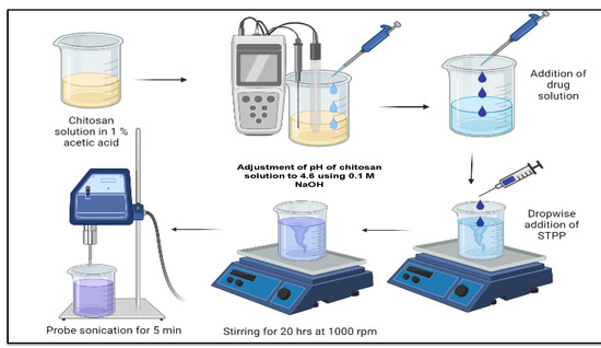 Pharmaceutics | Free Full-Text | Preparation and Evaluation of Modified Chitosan Nanoparticles ...