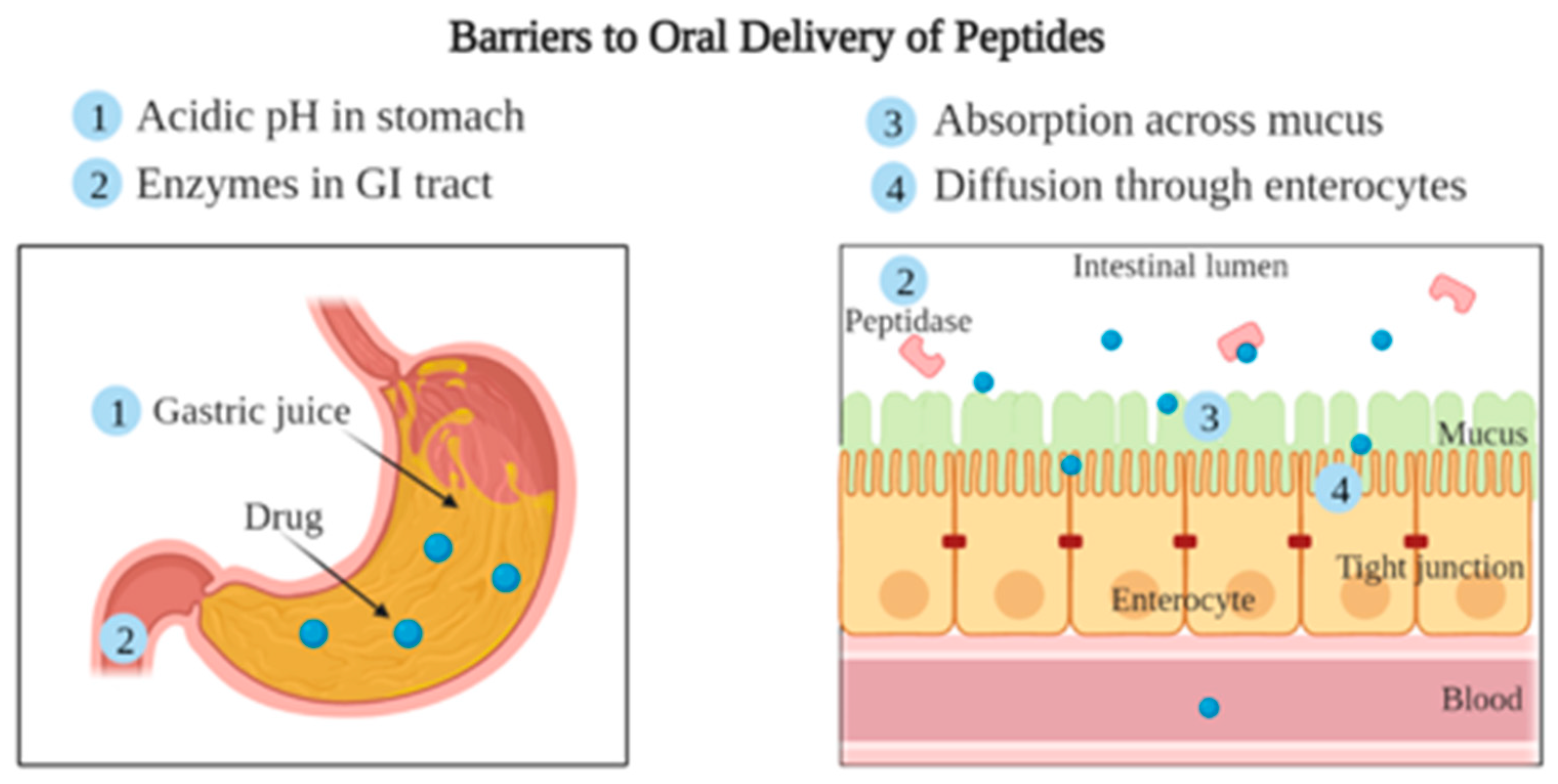 Pharmaceutics | Free Full-Text | Potential of Nuclear Imaging ...
