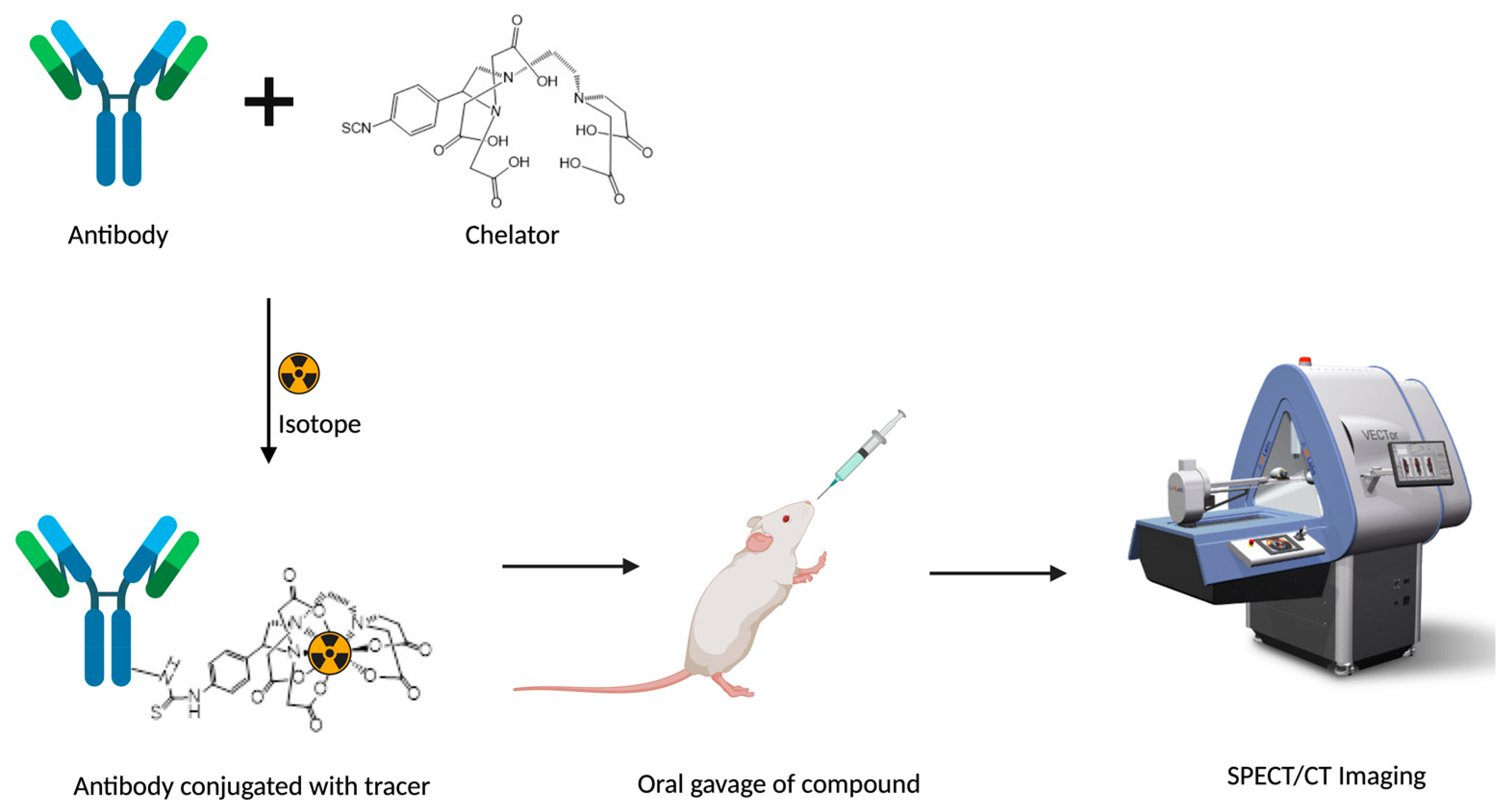 Pharmaceutics | Free Full-Text | Potential of Nuclear Imaging ...