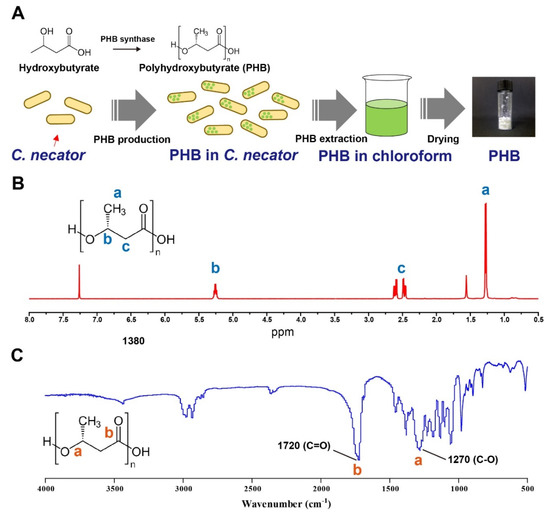 Cupriavidus necator-Produced Polyhydroxybutyrate/Eudragit FS Hybrid ...