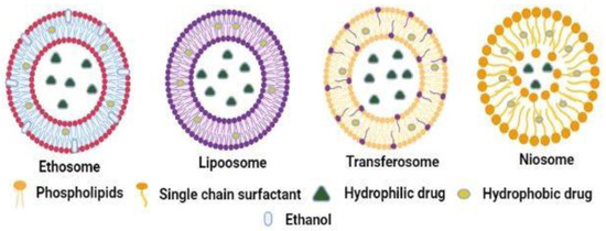 Improved Topical Drug Delivery: Role of Permeation Enhancers and ...