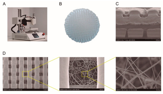 Hybrid 3D Printed and Electrospun Multi-Scale Hierarchical Polycaprolactone Scaffolds to Induce ...