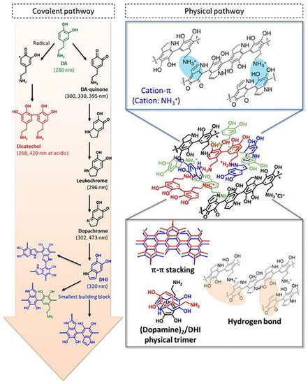 Frontiers in Preparations and Promising Applications of Mesoporous ...