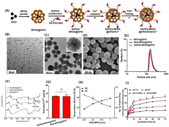Frontiers in Preparations and Promising Applications of Mesoporous ...