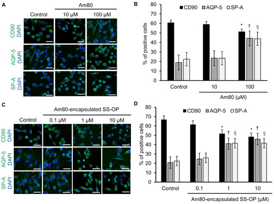 Pharmaceutics | Free Full-Text | Am80-Encapsulated Lipid Nanoparticles ...