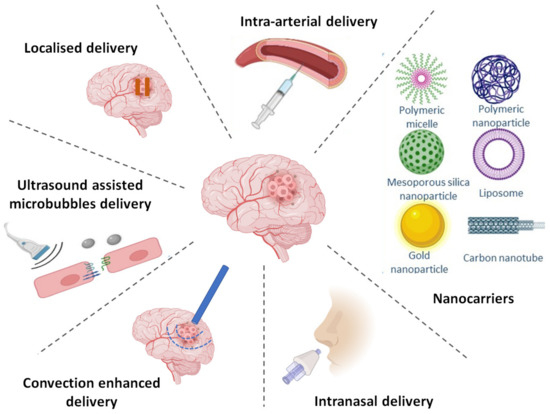 Pharmaceutics | Free Full-Text | Tyrosine Kinase Inhibitors for Glioblastoma Multiforme ...