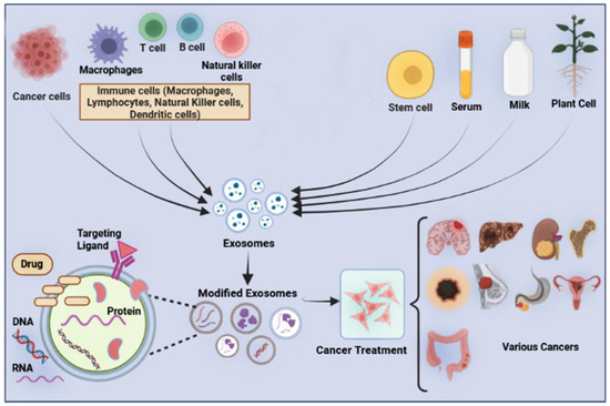 Engineered Exosomes for Tumor-Targeted Drug Delivery: A Focus on ...