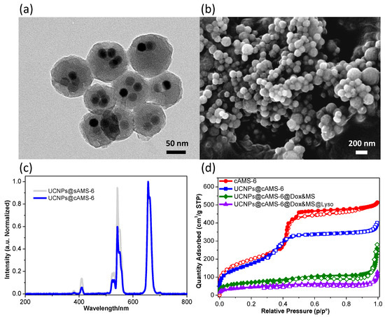 Pharmaceutics | Free Full-Text | Smart Drug-Delivery System of ...