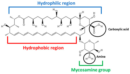 Liposomal Amphotericin B for Treatment of Leishmaniasis: From the ...