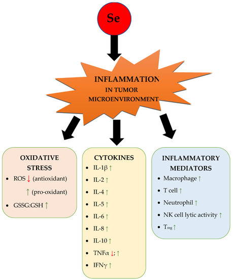 Selenium-Containing Agents Acting on Cancer—A New Hope?