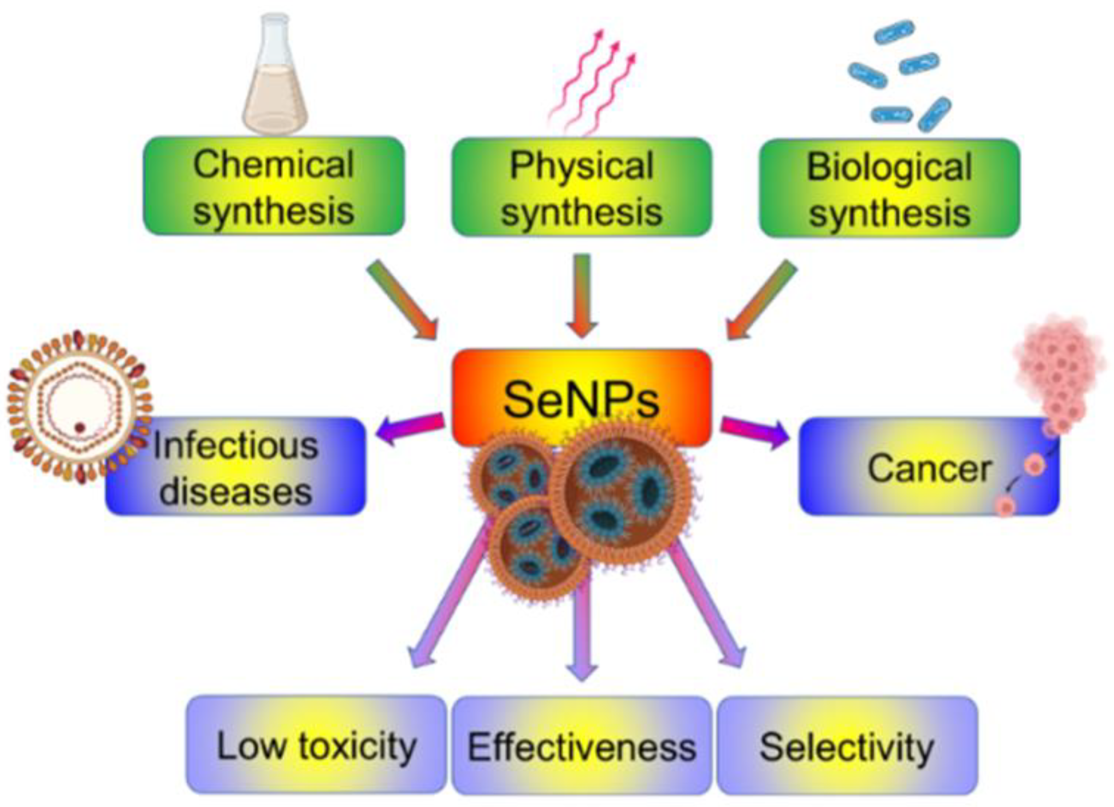 Pharmaceutics | Free Full-Text | Selenium-Containing Agents Acting on ...