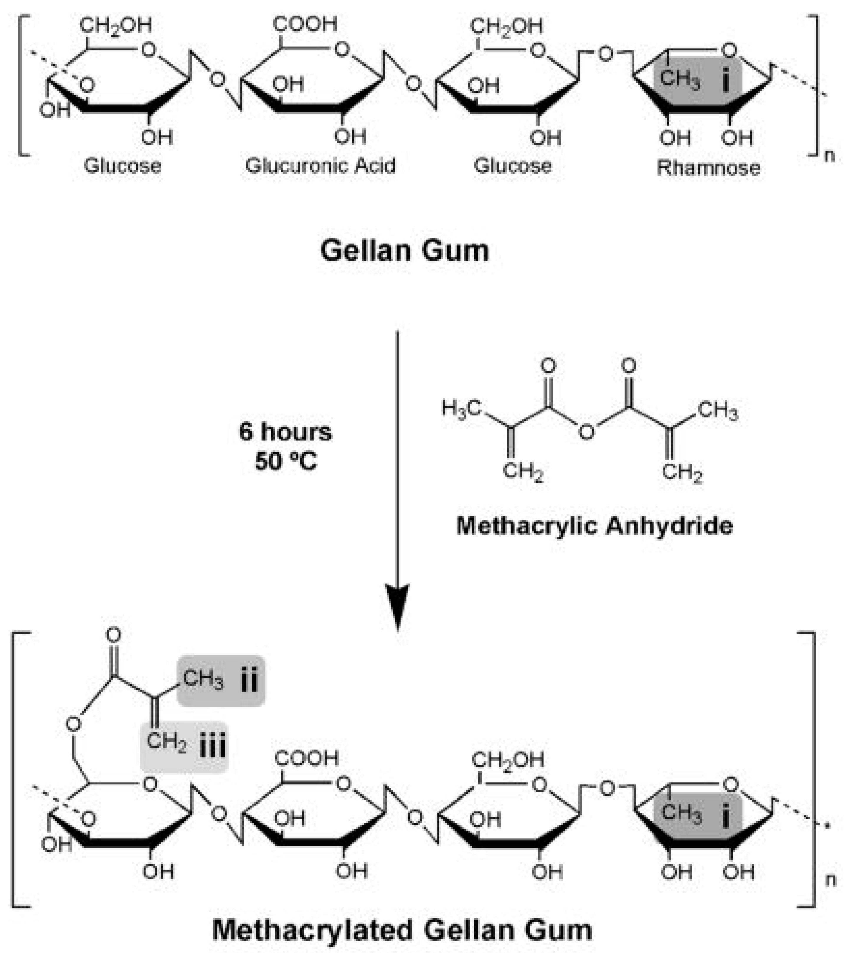 Pharmaceutics | Free Full-Text | Ionotropic Gelation and Chemical ...
