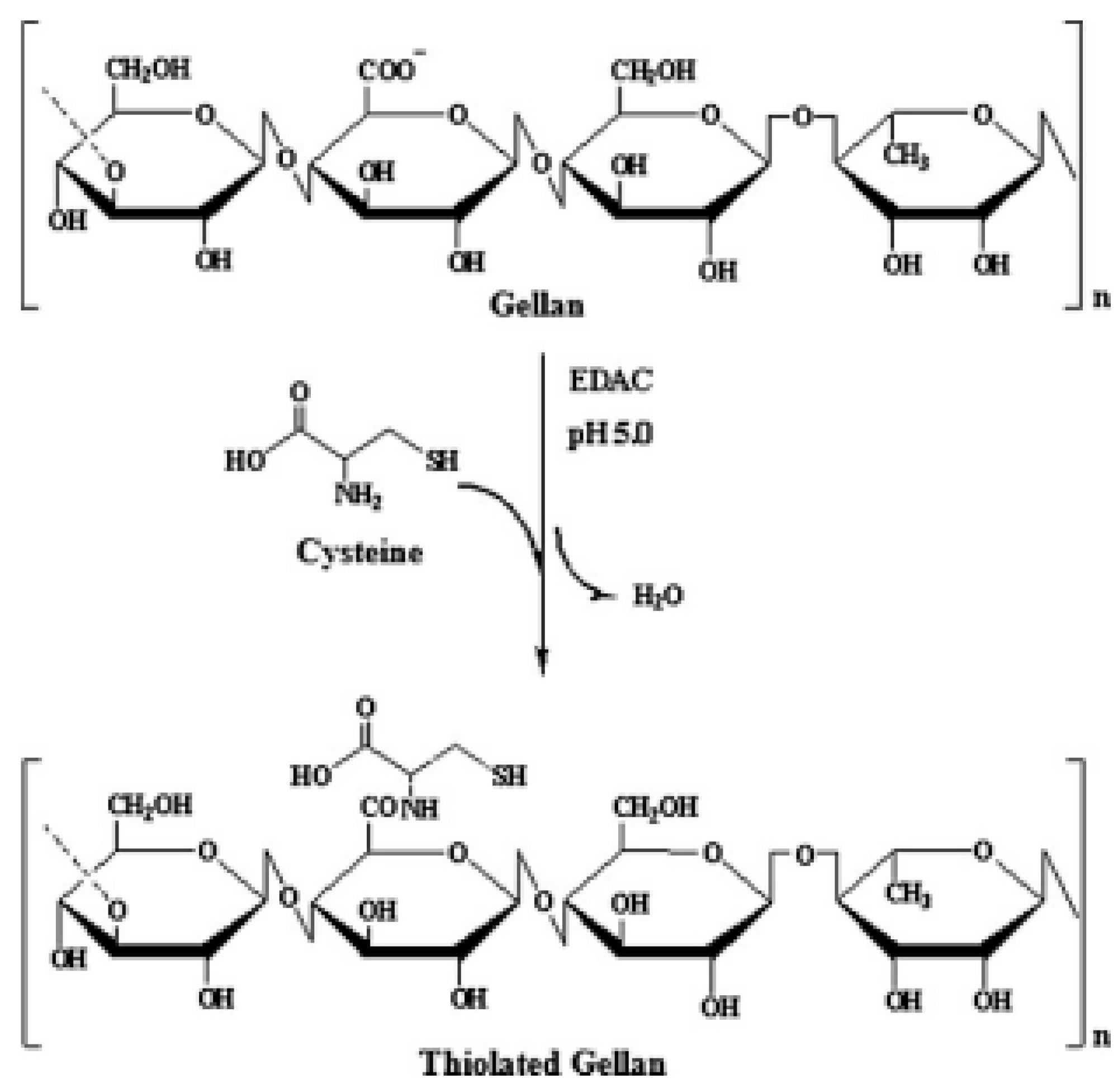 Pharmaceutics | Free Full-Text | Ionotropic Gelation and Chemical ...