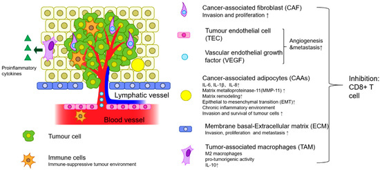 Potential Nanotechnology-Based Therapeutics to Prevent Cancer ...