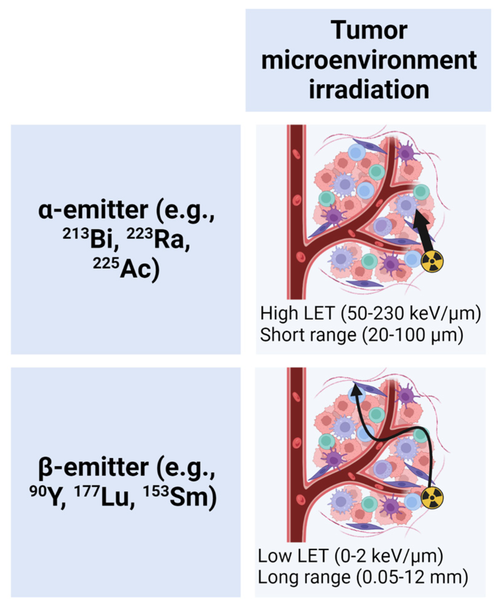 Developments in Combining Targeted Radionuclide Therapies and Immunotherapies for Cancer Treatment