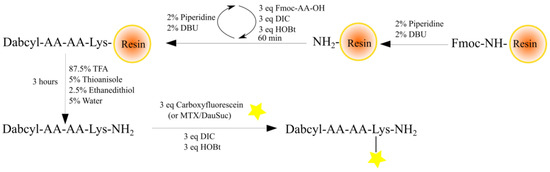 Pharmaceutics | Free Full-Text | Cell-Penetrating Dabcyl-Containing ...