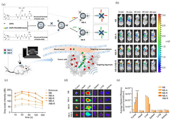 Targeting Tumor-Associated Macrophages for Imaging
