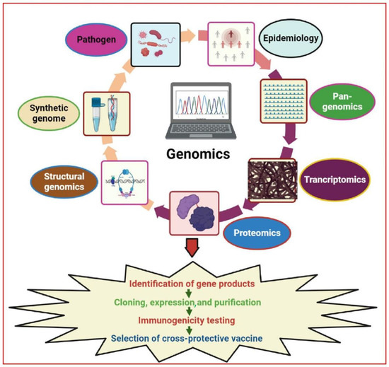Pharmaceutics | Free Full-Text | Recent Advances in Genomics-Based Approaches for the ...
