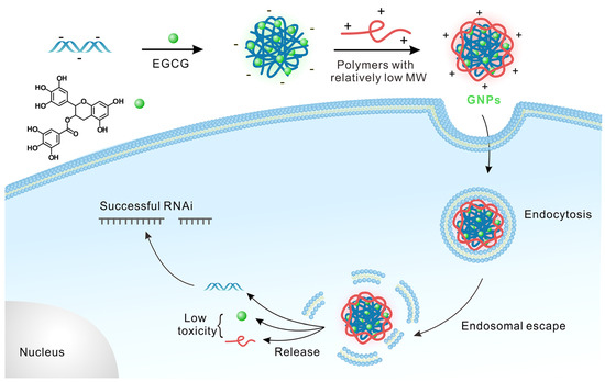 Biopolymer-Based Nanosystems for siRNA Drug Delivery to Solid Tumors ...