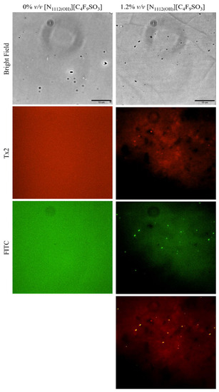 Studies on the Interaction between Model Proteins and Fluorinated Ionic ...