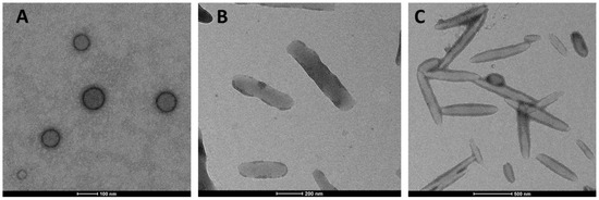 Effects of Particle Geometry for PLGA-Based Nanoparticles: Preparation ...