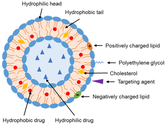 Pharmaceutics | Free Full-Text | Recent Advances in Intranasal Liposomes for Drug, Gene, and ...