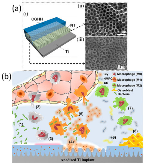 Pharmaceutics | Free Full-Text | Recent Advancements in Metallic Drug ...