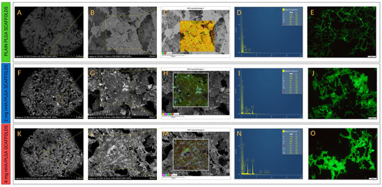 Nano-Hydroxyapatite/PLGA Mixed Scaffolds as a Tool for Drug Development ...