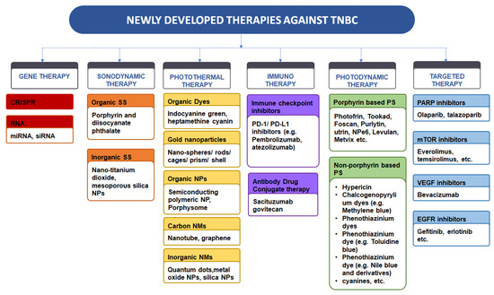Recent Advances in Targeted Nanocarriers for the Management of Triple ...