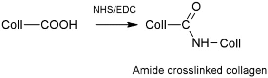 Are Natural Compounds a Promising Alternative to Synthetic Cross ...