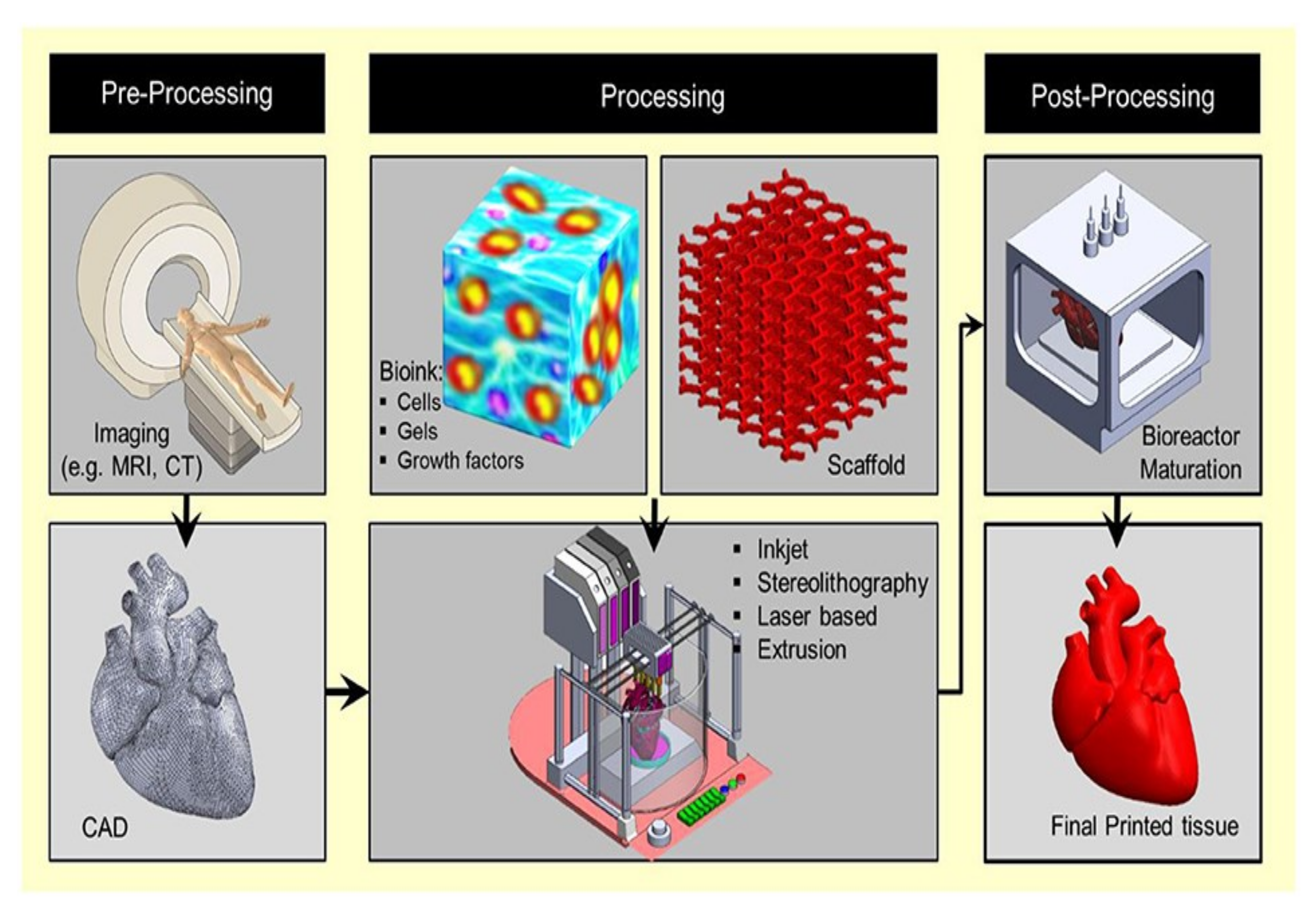 Recent Developments in 3D Bio-Printing and Its Biomedical Applications