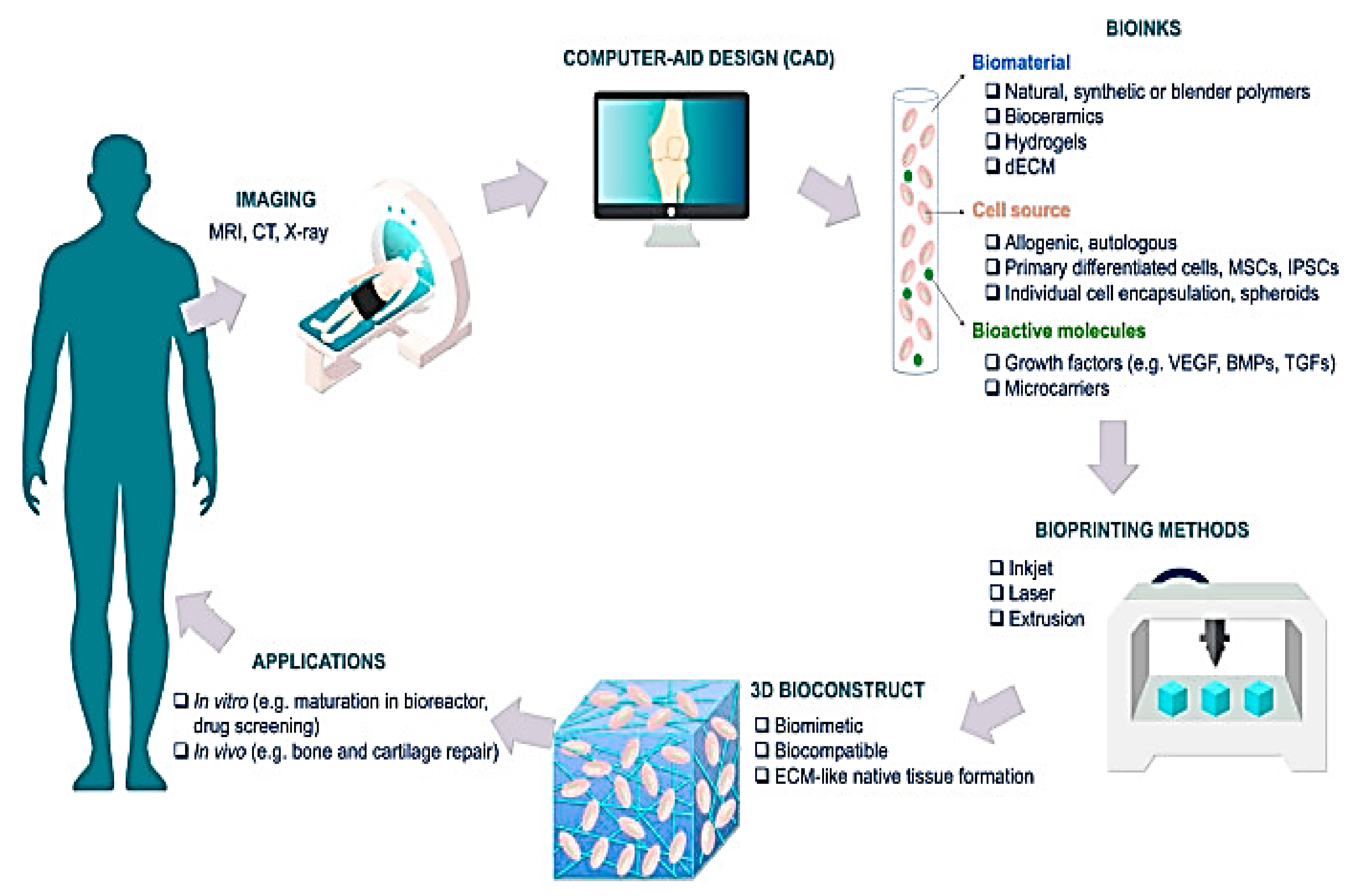 Recent Developments in 3D Bio-Printing and Its Biomedical Applications