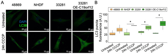 Identification of Autophagy as a Functional Target Suitable for the ...
