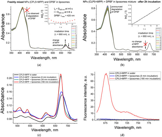 Nanoparticles of N-Vinylpyrrolidone Amphiphilic Copolymers and ...