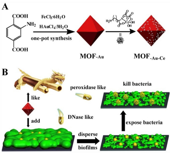 Metal–Organic Frameworks and Their Biodegradable Composites for ...