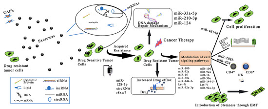 Correction: Zare et al. Encapsulation of miRNA and siRNA into ...
