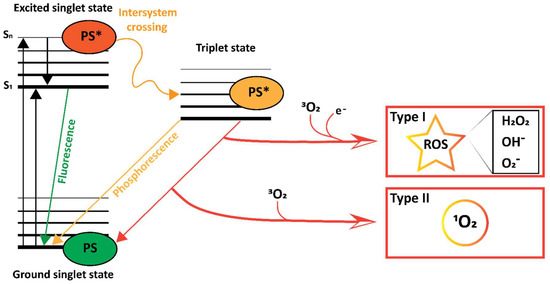 Current Challenges and Opportunities of Photodynamic Therapy against Cancer