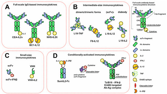 Pharmaceutics | Free Full-Text | Targeted Cytokine Delivery for Cancer ...