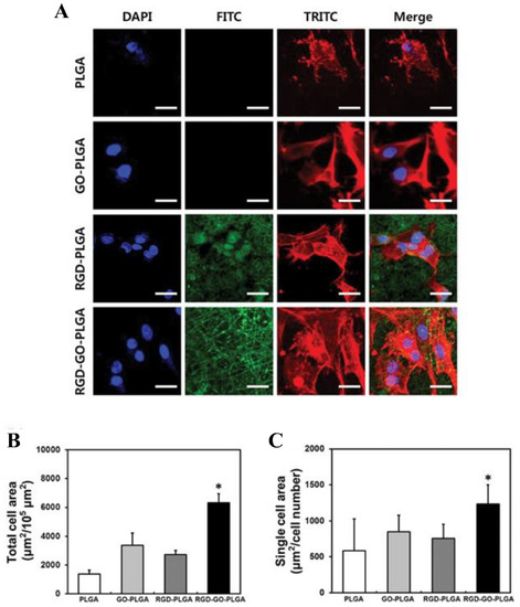 Design of Functional RGD Peptide-Based Biomaterials for Tissue Engineering