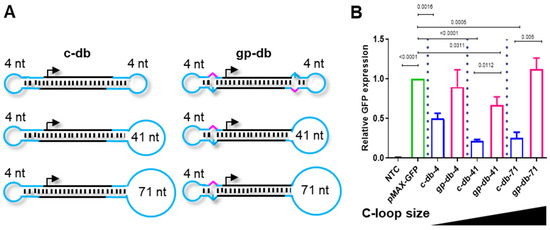 Non-Covalent Linkage of Helper Functions to Dumbbell-Shaped DNA Vectors ...