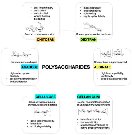 Current Status of Polysaccharides-Based Drug Delivery Systems for Nervous Tissue Injuries Repair