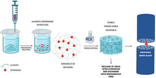 Current Status of Polysaccharides-Based Drug Delivery Systems for Nervous Tissue Injuries Repair