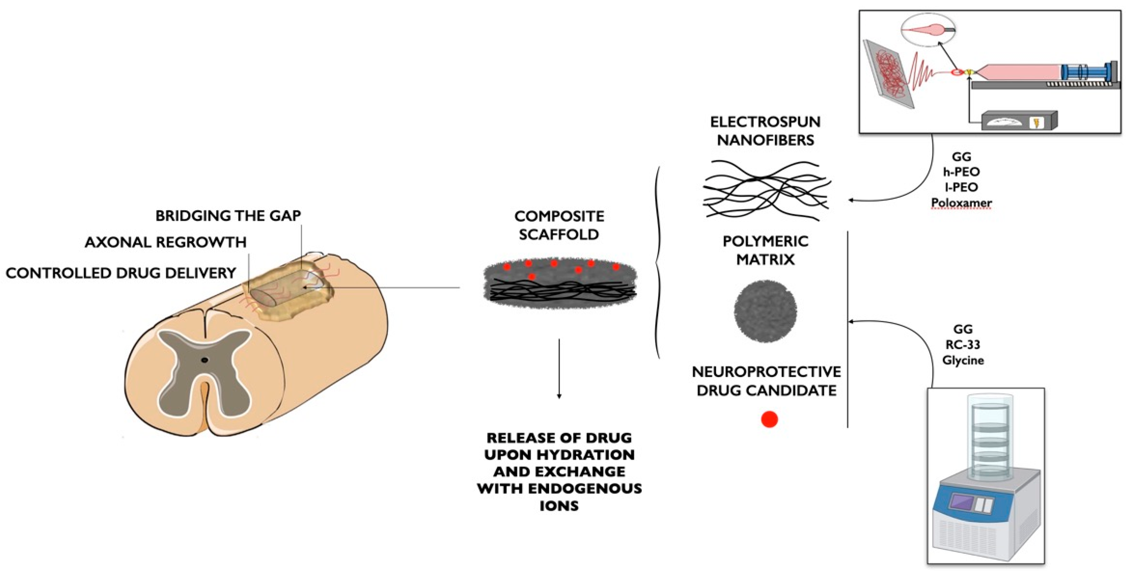 Current Status of Polysaccharides-Based Drug Delivery Systems for Nervous Tissue Injuries Repair