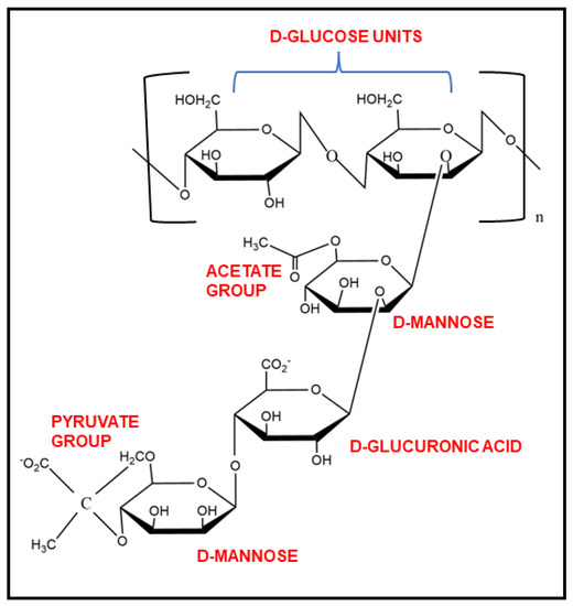 Advances in Xanthan Gum-Based Systems for the Delivery of Therapeutic ...