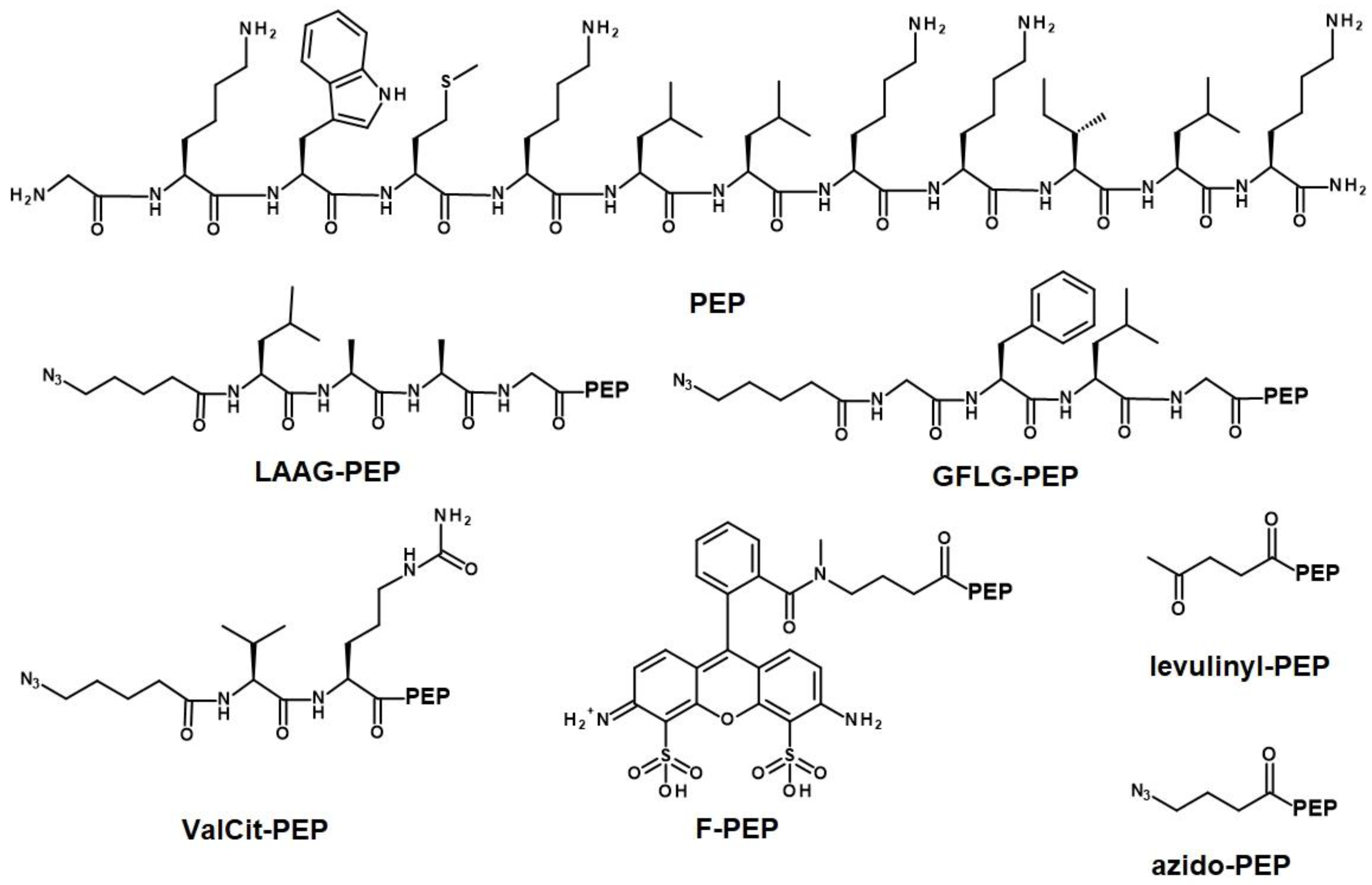 Polymer-Antimicrobial Peptide Constructs with Tailored Drug-Release ...
