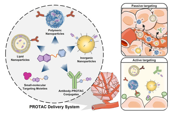 Cancer-Specific Delivery of Proteolysis-Targeting Chimeras (PROTACs ...