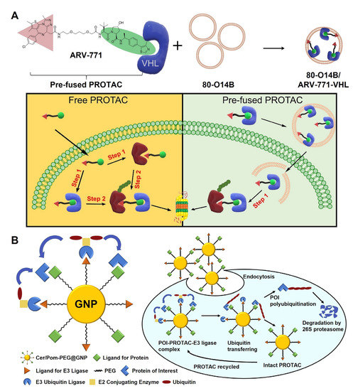 Cancer-Specific Delivery of Proteolysis-Targeting Chimeras (PROTACs ...